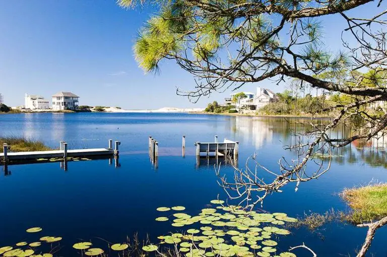 Best Walton County Beaches: 5 Places You Won't Want To Miss