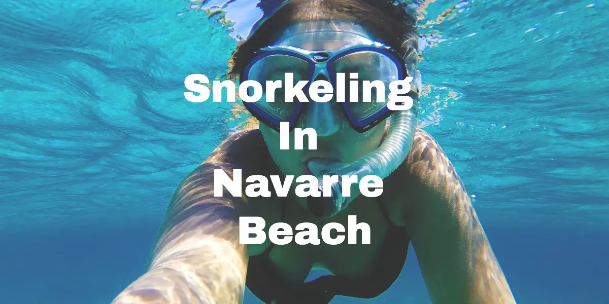 Snorkeling in Navarre Beach: Best Locations, Times and Tours